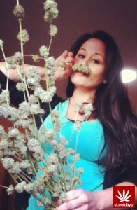 Live Life Irie | Stoner Pictures