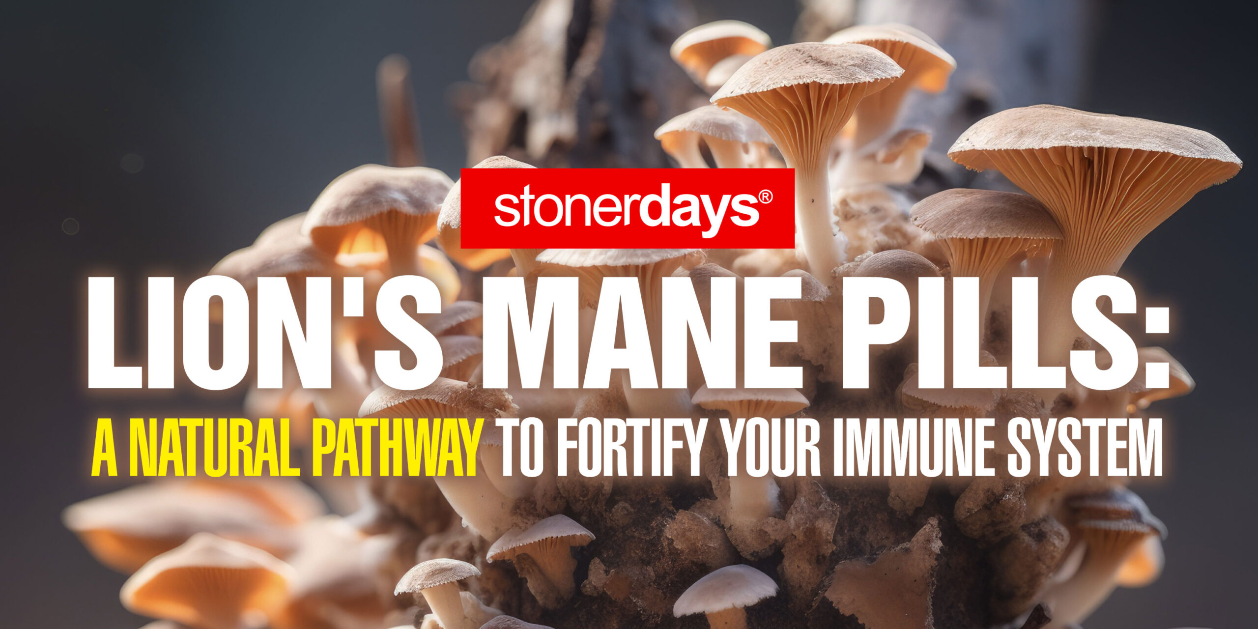 Lion's Mane Pills: A Natural Pathway to Fortify Your Immune System • Blogs