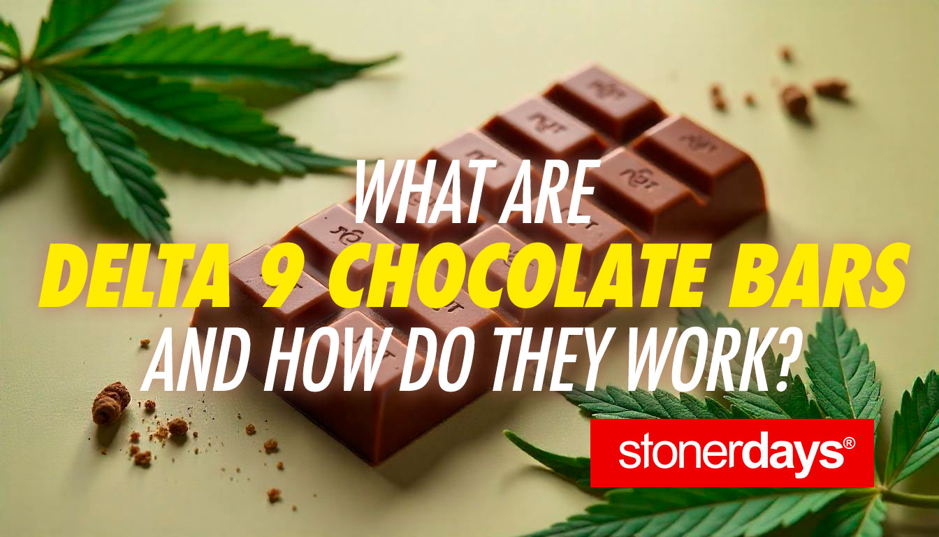 What are Delta 9 Chocolate Bars and How Do They Work? • Blogs