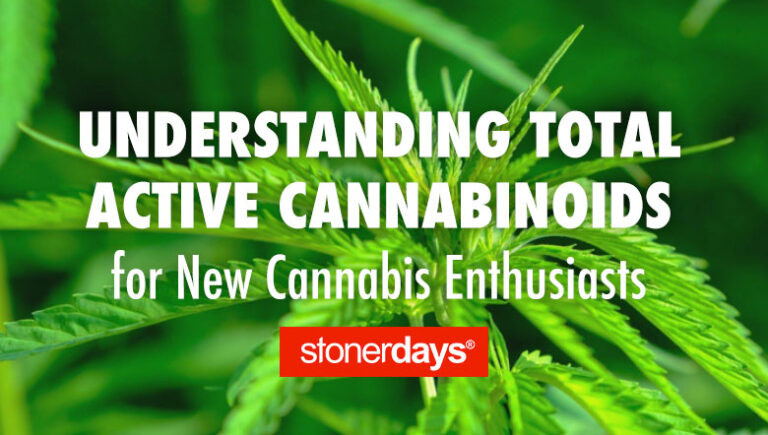 Understanding Total Active Cannabinoids for New Cannabis Enthusiasts ...